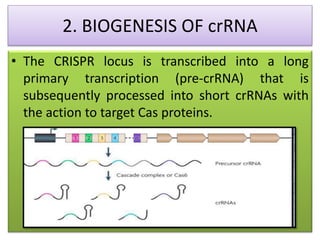 CRISPR/Cas9: A New Avenue for Aquaculture Biomedicine | PPTX