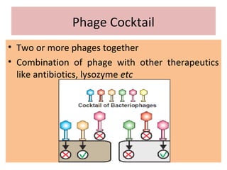 Phagebiotics: A New Horizon for Therapeutics in Aquaculture | PPT