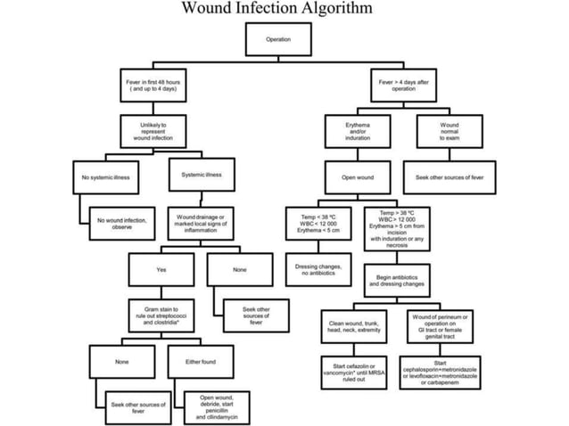 Management of Skin and Soft Tissue Infections: IDSA Guideline 2014 | PPTX
