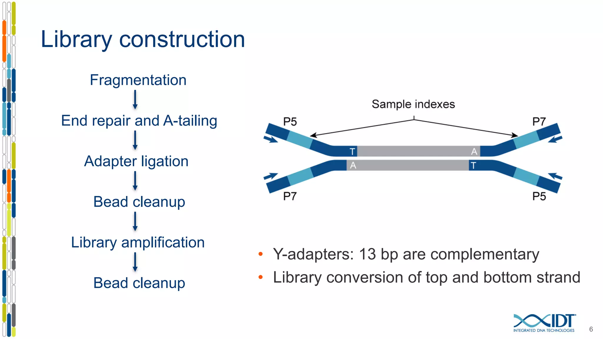 Dual index adapters with UMIs resolve index hopping and increase sensitivity of variant ...