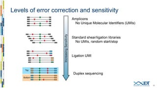 Dual index adapters with UMIs resolve index hopping and increase sensitivity of variant ...