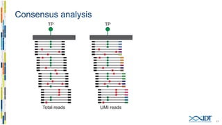 Dual index adapters with UMIs resolve index hopping and increase sensitivity of variant ...