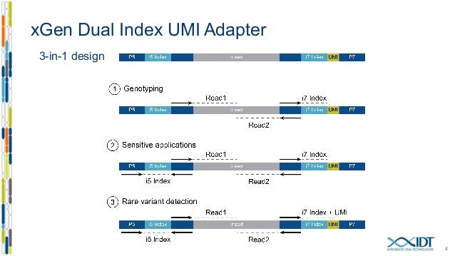 Dual index adapters with UMIs resolve index hopping and increase sens…