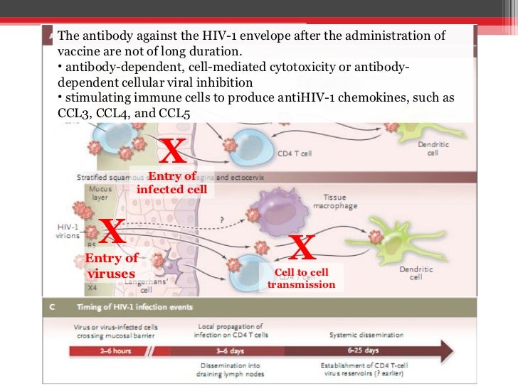 Immunology and Detection of Acute HIV-1 Infection