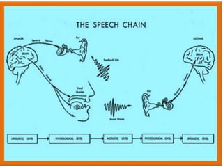 Interactive English: Listening, Speaking and Grammar- THE COMMUNICATION ...