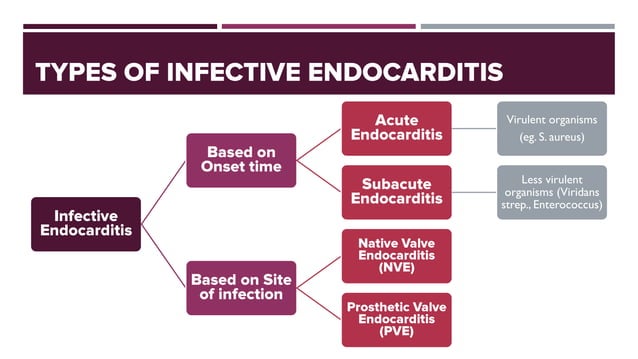 Infective Endocarditis | PPT