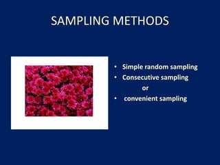 clinical audit | PPT | Medical Tests | Medical Health