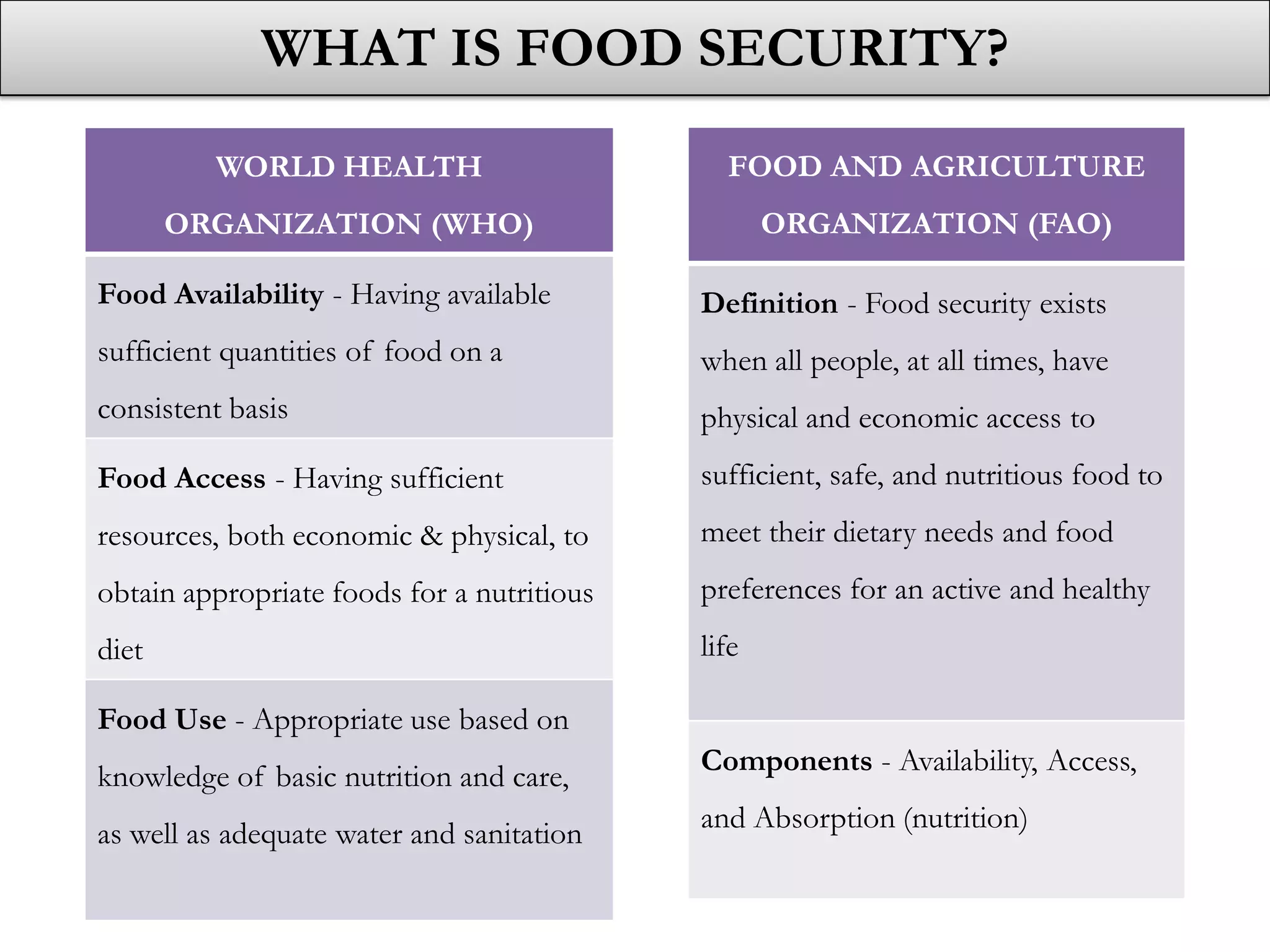National Food Security Bill | PPTX