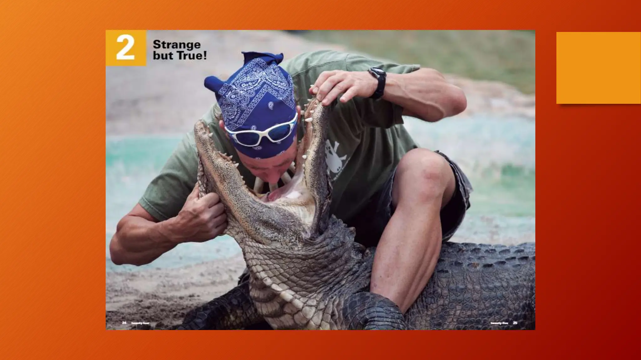 IE02 - ILLUJUNIORS 08 - U01.pptx