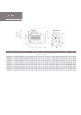Hoyer IE3 Electric Motors | PDF