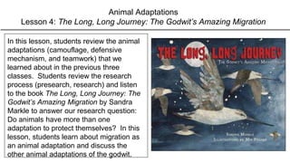 Lesson 4 animal adaptations (the long, long journey the godwit_s ...