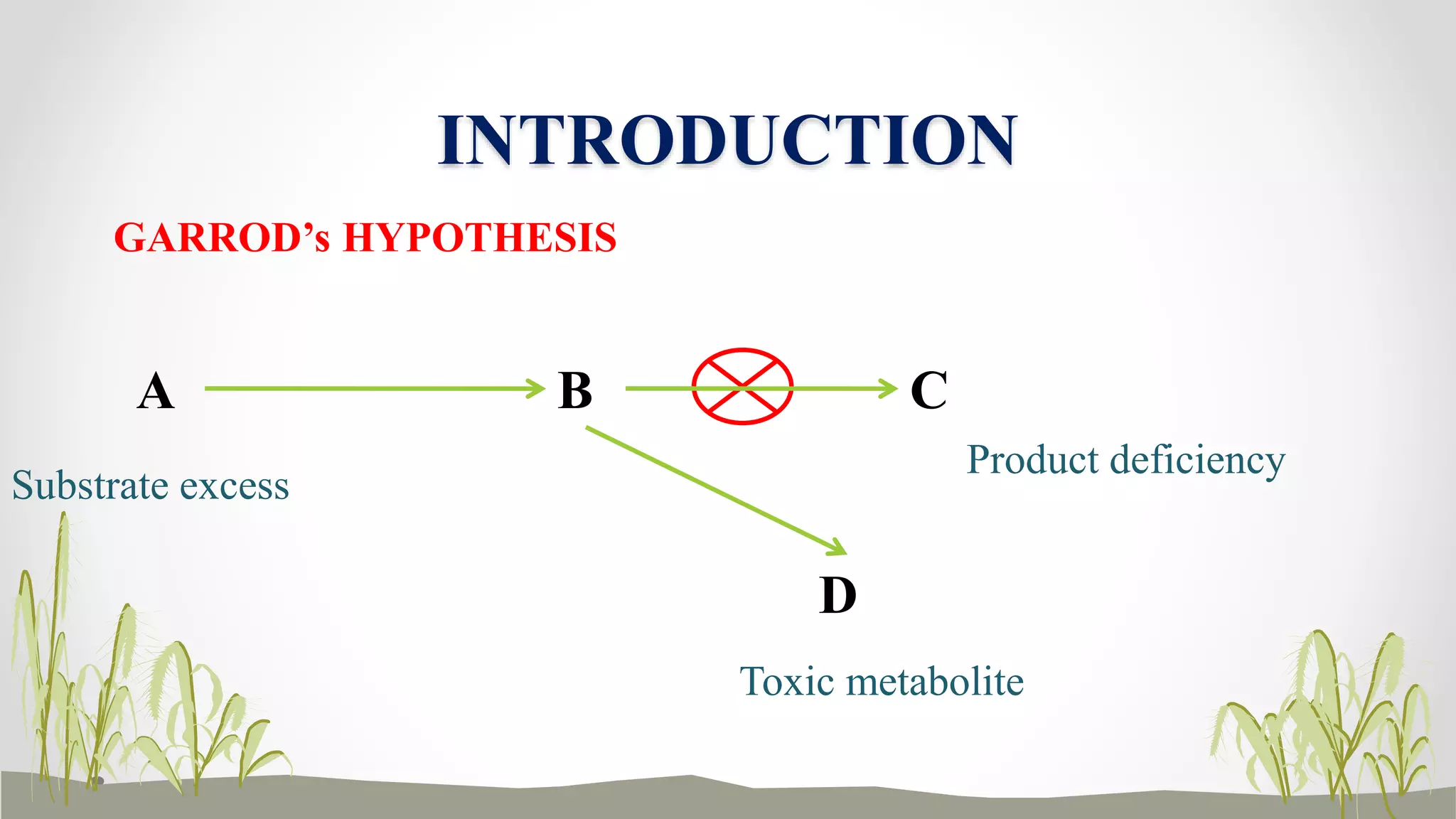 Inborn Errors of Aminoacid Metabolism | PPTX