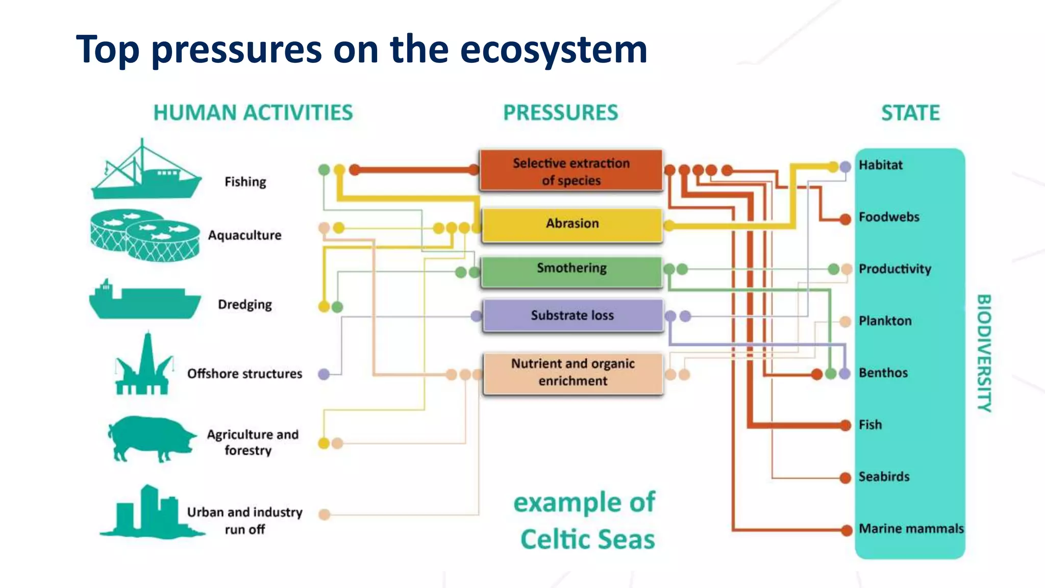ICES advice and integrated ecosystem assessment expert groups | PPTX | Geography | Science