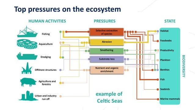 ICES advice and integrated ecosystem assessment expert groups | PPT
