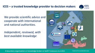 ICES advice and integrated ecosystem assessment expert groups | PPTX | Geography | Science