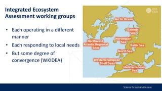 ICES advice and integrated ecosystem assessment expert groups | PPTX | Geography | Science