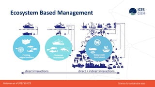ICES advice and integrated ecosystem assessment expert groups | PPTX | Geography | Science