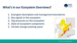 ICES advice and integrated ecosystem assessment expert groups | PPTX | Geography | Science