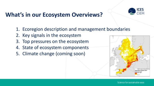 ICES advice and integrated ecosystem assessment expert groups | PPT