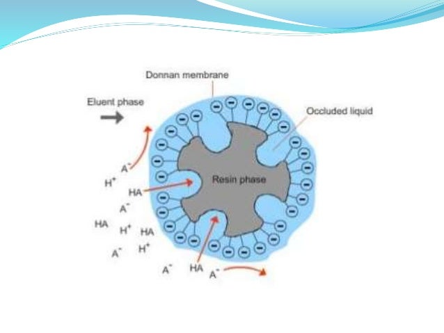 ION-EXCLUSION CHROMATOGRAPHY