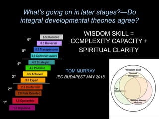 What's going on in later stages?—Do integral developmental theories agree? | PPTX