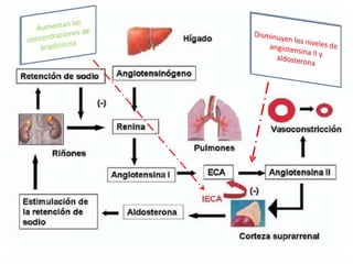 IECA | PPTX