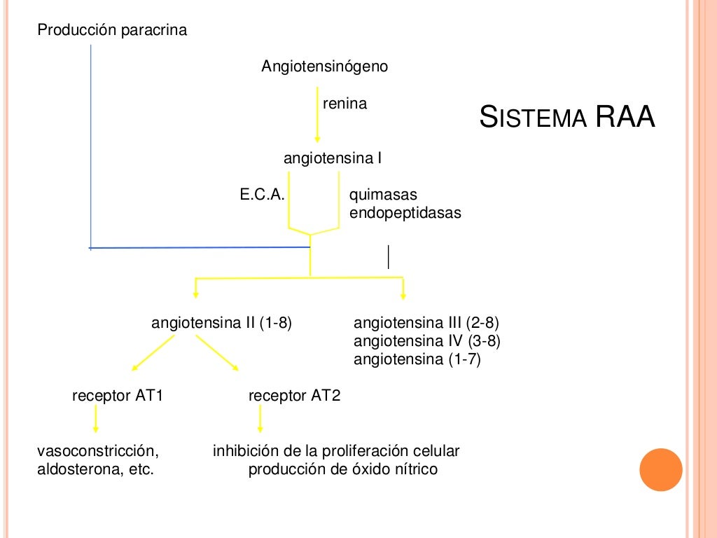 Equivalencias Ara Ii