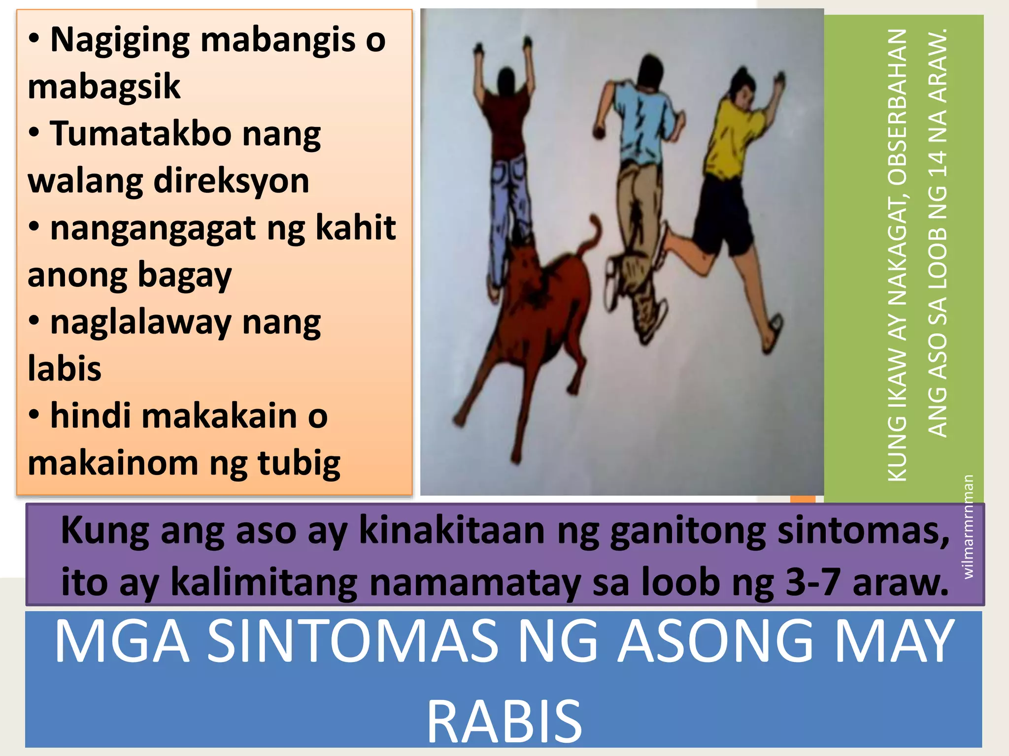 Iinformation and Education Campaign on DOH Programs | PPTX