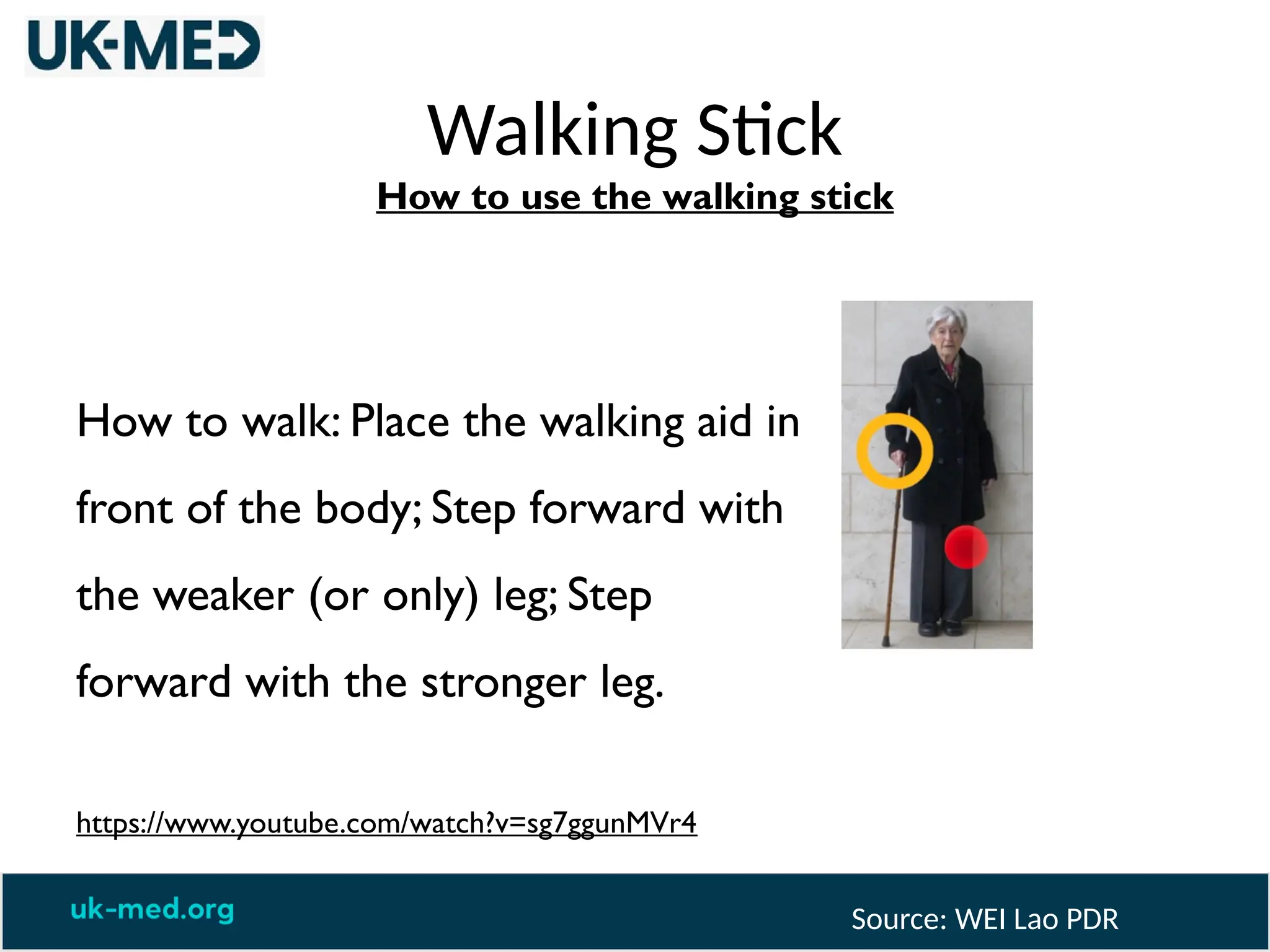 IEC_Walking-Aids_Sample-Infographic.pptx