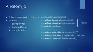 Iedzimta balsenes stenoze | PPT