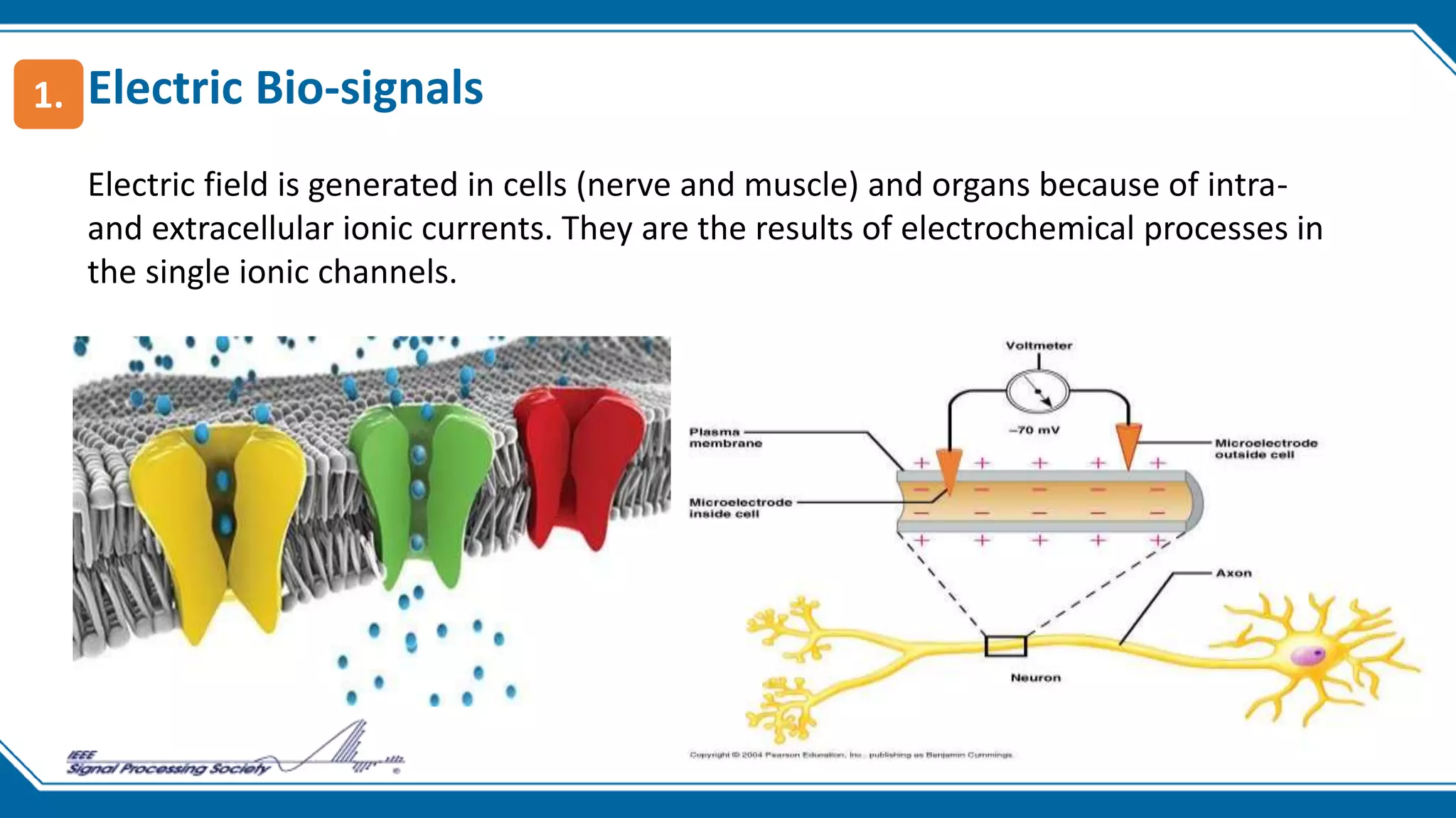 Biomedical Signal Processing Biomedical Signals Bio Signals Bio Signals Classification Ppt