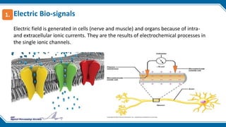 Biomedical Signal Processing / Biomedical Signals/ Bio-signals/ Bio ...