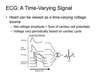 IEEE ECPhysiological origin: Sequential electrical activation of ...
