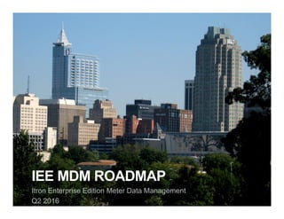 IEE_Roadmap_Q2-2016 pdf | PPT