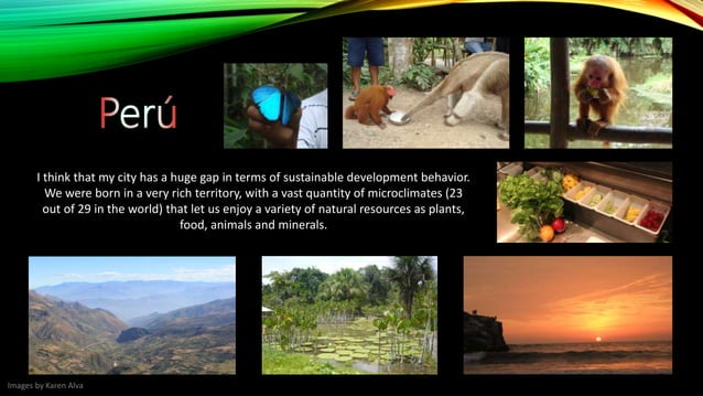 IE Application - IMBA | PPT