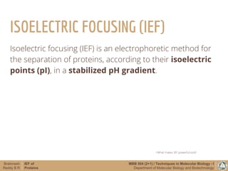 Isoelectric Focusing for high resolution separation of proteins | PPT