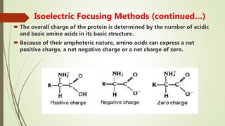 ISO ELECTRIC FOCUSING PRESENTATION OF LAB TECHNIQUE | PPTX