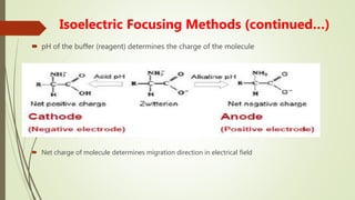 ISO ELECTRIC FOCUSING PRESENTATION OF LAB TECHNIQUE | PPTX