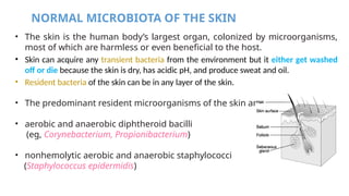 Normal Human Microbiota in Children.pptx