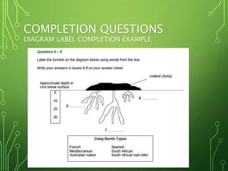 IELTS Reading Section | PPT | Standardized Testing | Educational Assessment