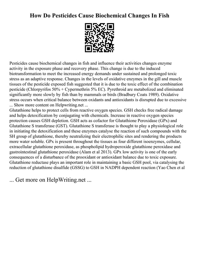 Ielts Writing Task 2 ProblemSolution Essay With Sample Answer | PDF