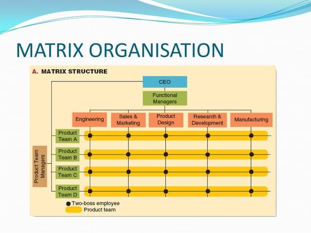 Iem organisation structures | PPT