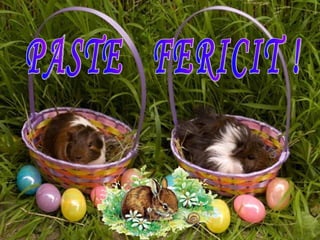 Happy Easter - Paste fericit! | PPT