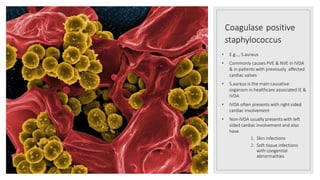 Infective endocarditis/ endocarditis | PPTX