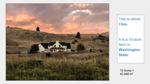 IES_English_Presentation.pptx