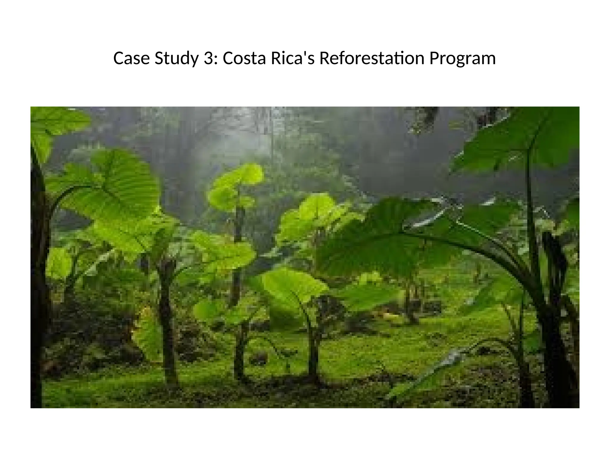 IES GLOBALS UMMIT 1.pptx