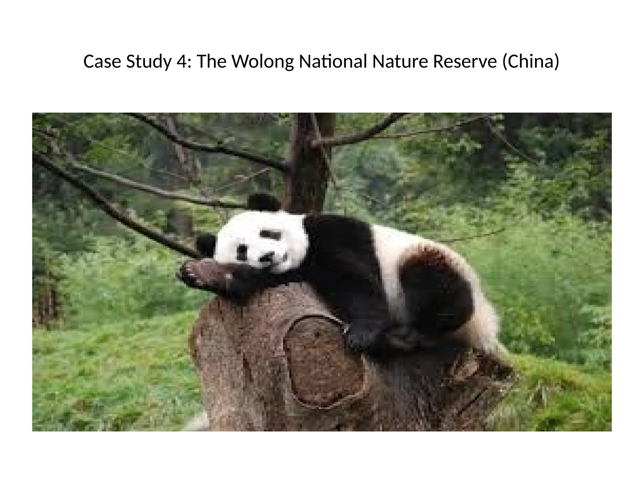 IES GLOBALS UMMIT 1.pptx