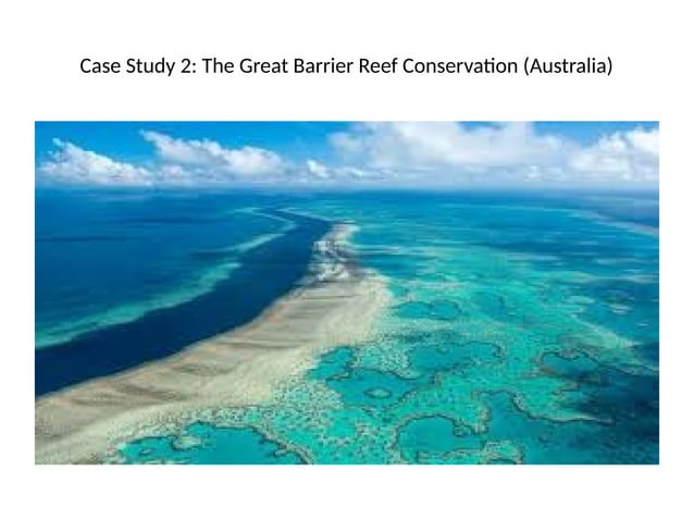 IES GLOBALS UMMIT 1.pptx