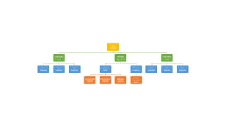 IES Sales Restructuring.pptx