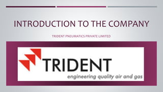 Industrial Exposure Training Project PPT.pptx